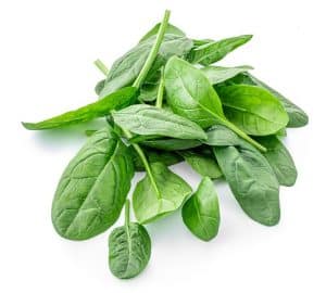 Top 9 Best Asparagus Substitutes For Your Recipes