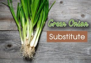 Substitute For Green Onion: Top 12 Options You Should Try