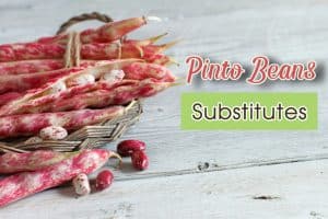 Substitutes For Pinto Beans: You Should Take A Look