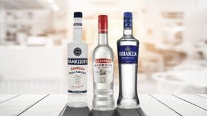 Pernod Substitution: 9 Worth-Noting Alternatives For Your Recipes