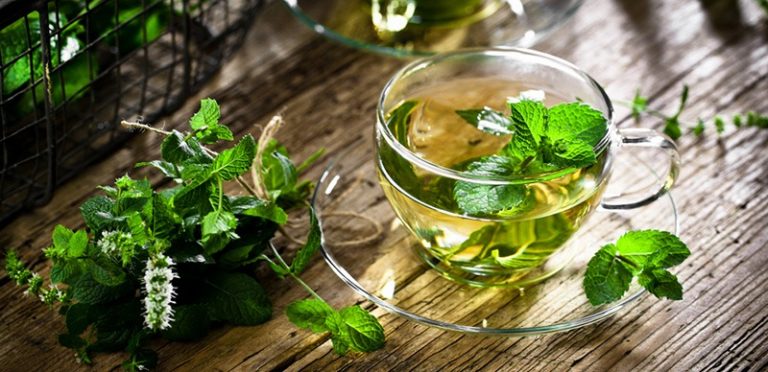 Mint Substitutes: 12 Best-Recommended Options